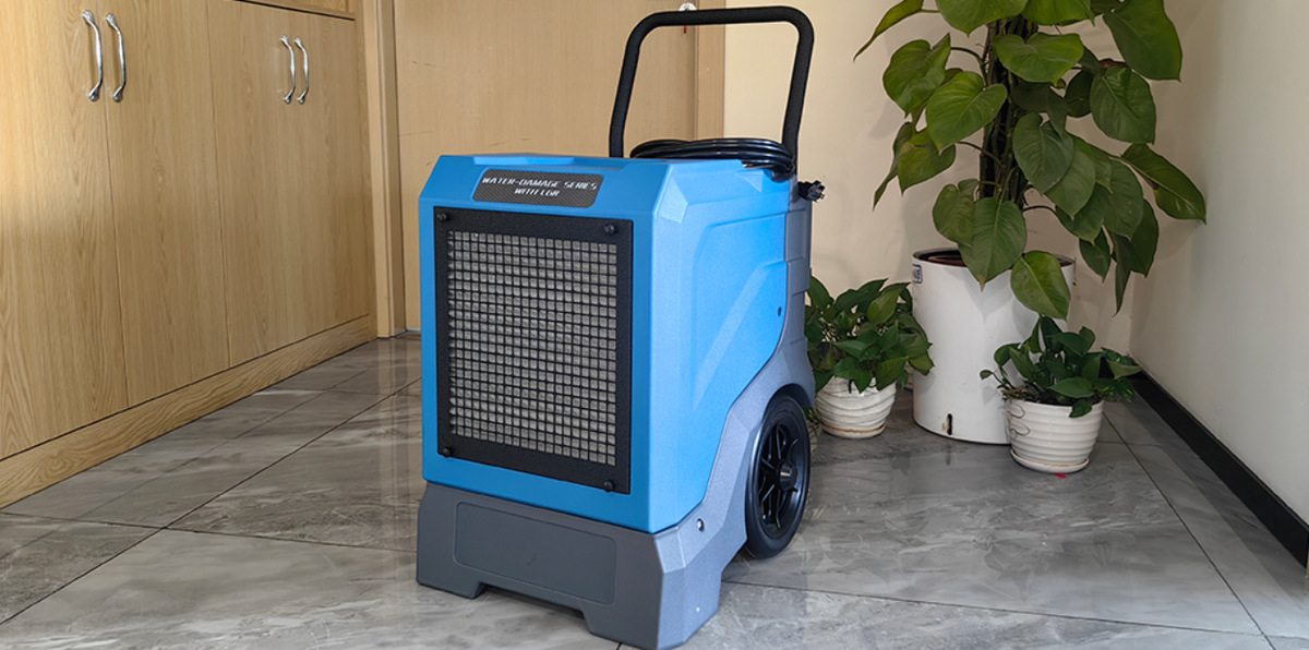 Everything You Need to Know About LGR Dehumidifiers for Water Damage R ...