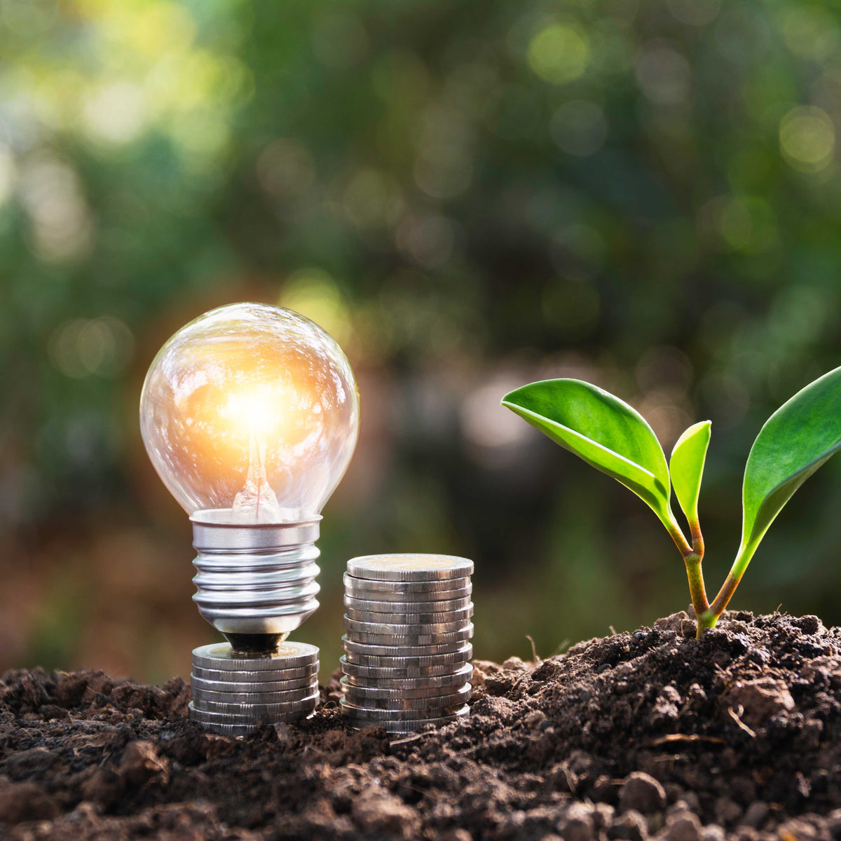 15 Simple Ways to Save Energy at Work and Cut Costs – Aircare